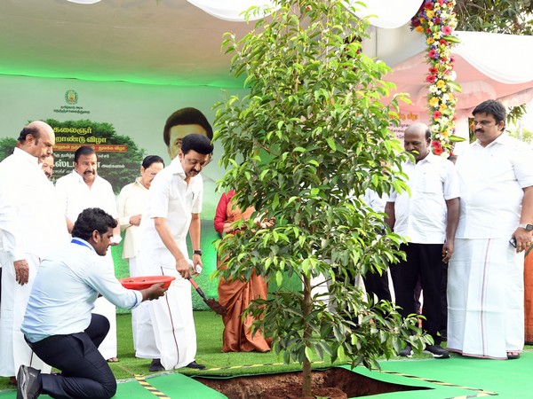 Tamil Nadu CM Stalin launches mass tree planting drive - Articles