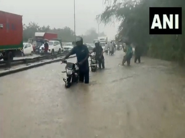 Delhi-Gurugram expressway waterlogged after heavy downpour, traffic jam for up to 5 km - Articles