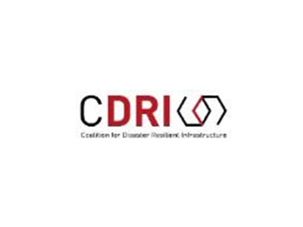 CDRI Awards 11 Projects in 13 SIDS across the Caribbean, Pacific and ...