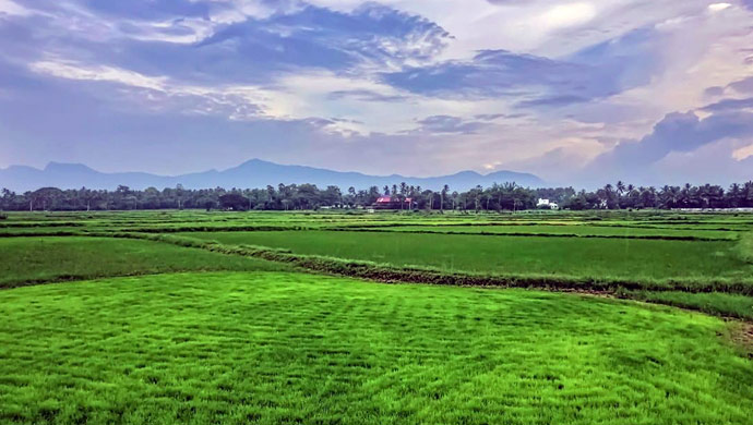 10 Places To Add To Your List If You Are Planning A Trip To Kerala Like ...